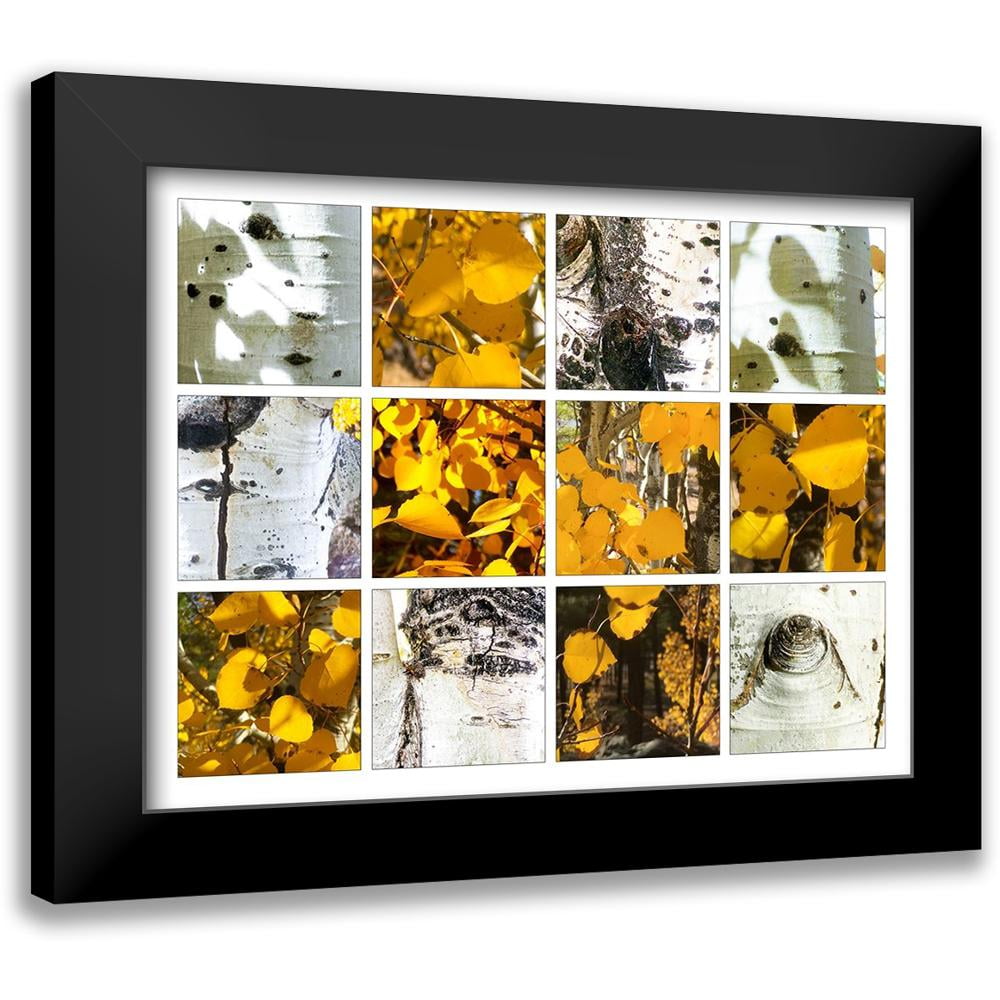 Tenoever, William 14x12 Black Modern Framed Museum Art Print Titled ...
