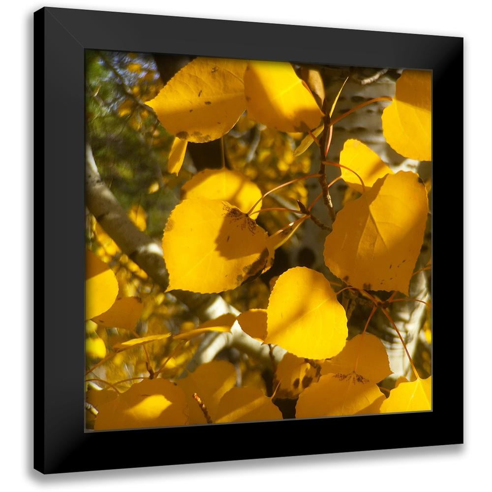 Tenoever, William 15x15 Black Modern Framed Museum Art Print Titled ...