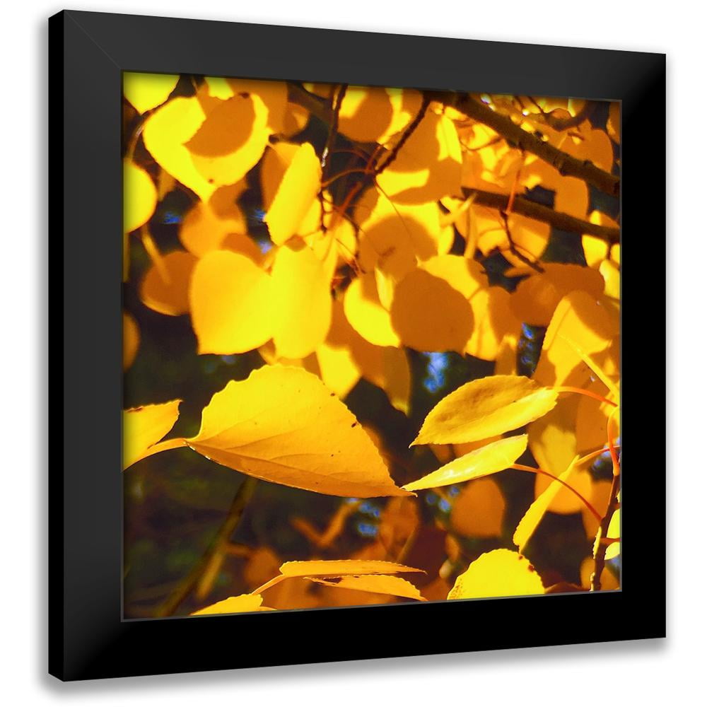 Tenoever, William 15x15 Black Modern Framed Museum Art Print Titled ...