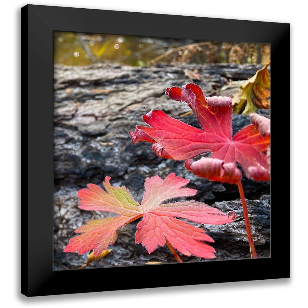 Tenoever, William 15x15 Black Modern Framed Museum Art Print Titled ...