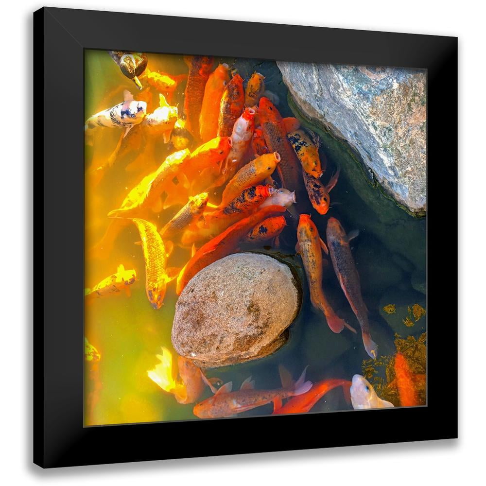 Tenoever, William 15x15 Black Modern Framed Museum Art Print Titled ...