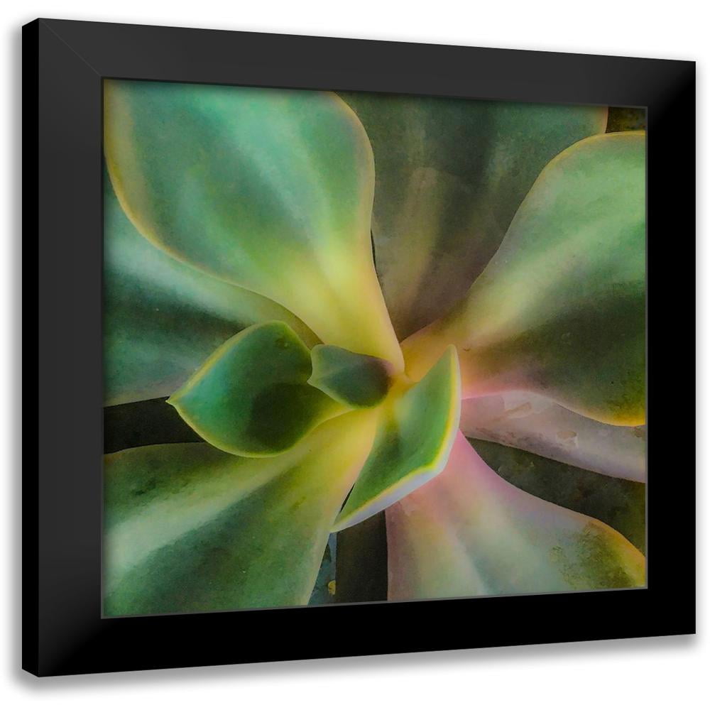 Tenoever, William 15x15 Black Modern Framed Museum Art Print Titled ...