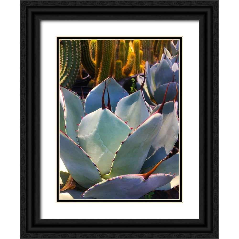 Tenoever, William 15x18 Black Ornate Wood Framed with Double Matting ...