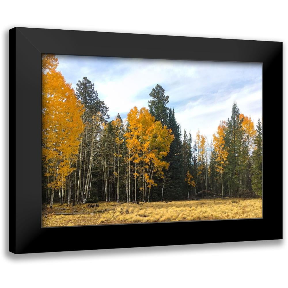 Tenoever, William 18x14 Black Modern Framed Museum Art Print Titled ...