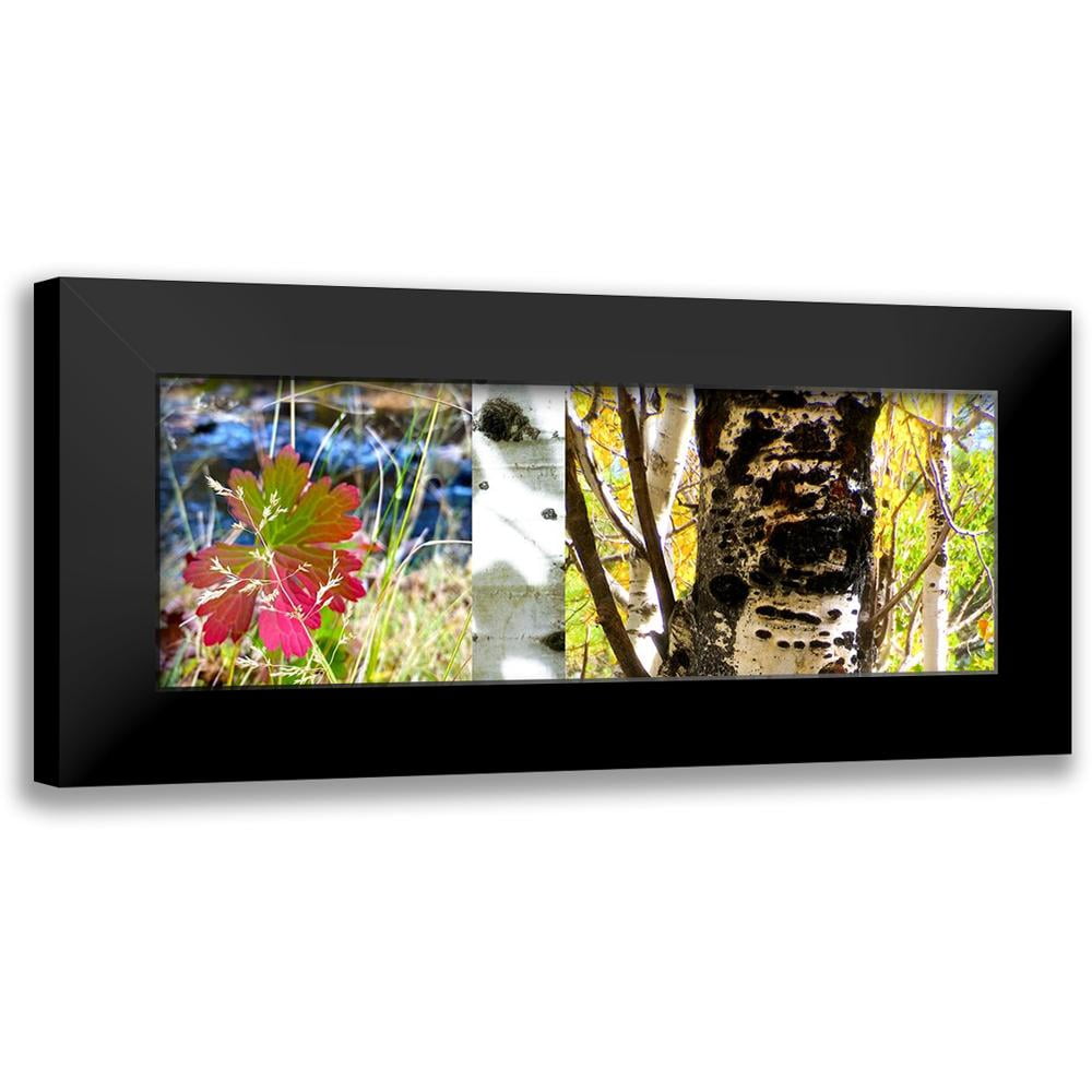 Tenoever, William 18x9 Black Modern Framed Museum Art Print Titled ...