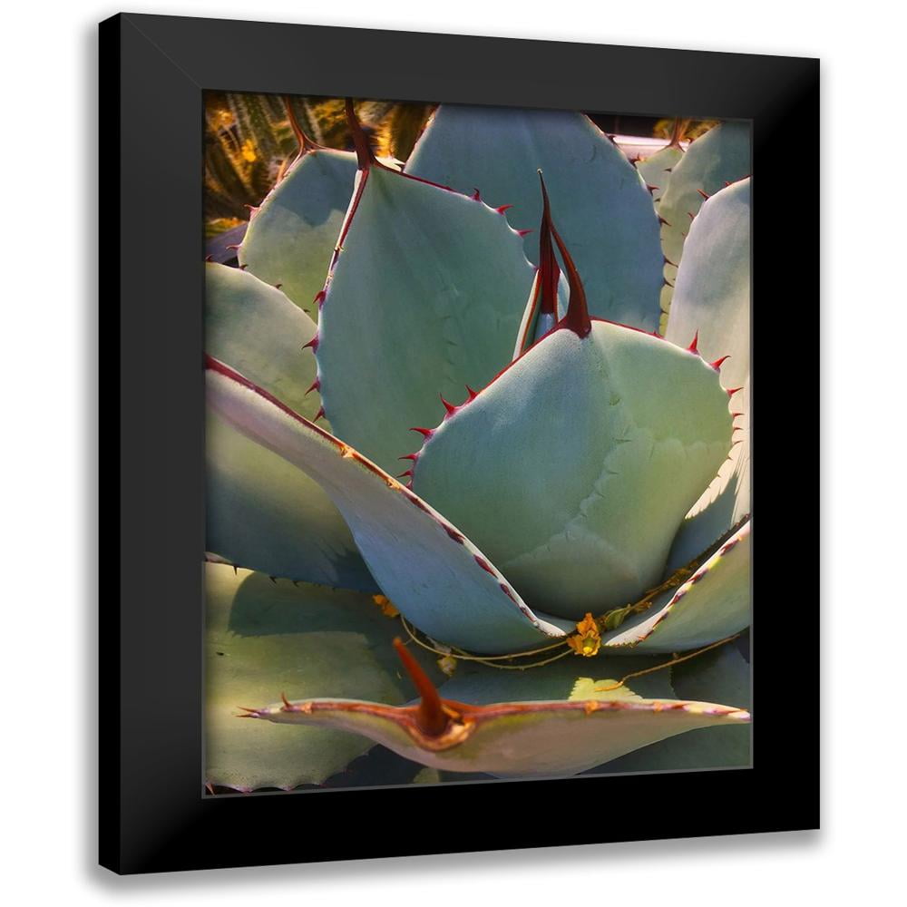 Tenoever, William 19x24 Black Modern Framed Museum Art Print Titled ...