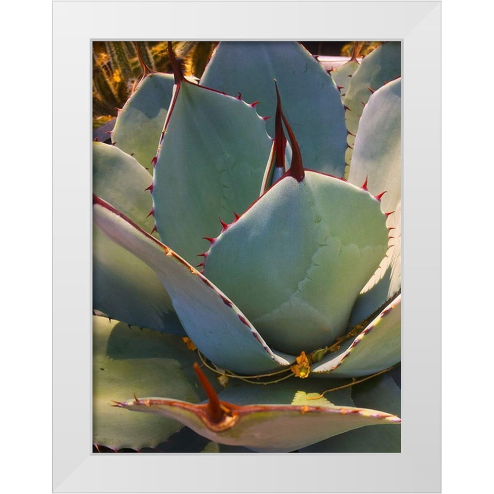 Tenoever, William 19x24 White Modern Wood Framed Museum Art Print ...