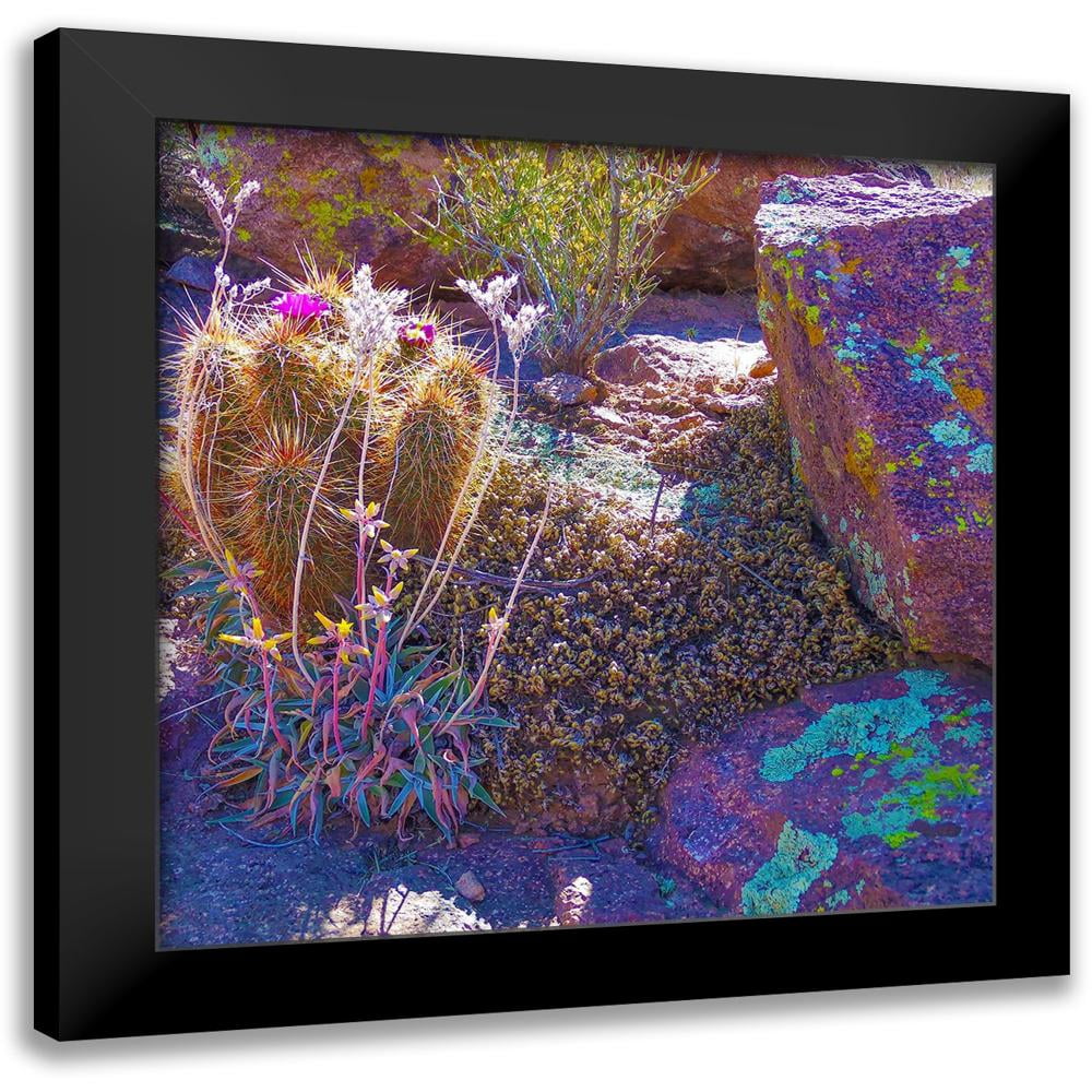 Tenoever, William 20x20 Black Modern Framed Museum Art Print Titled ...