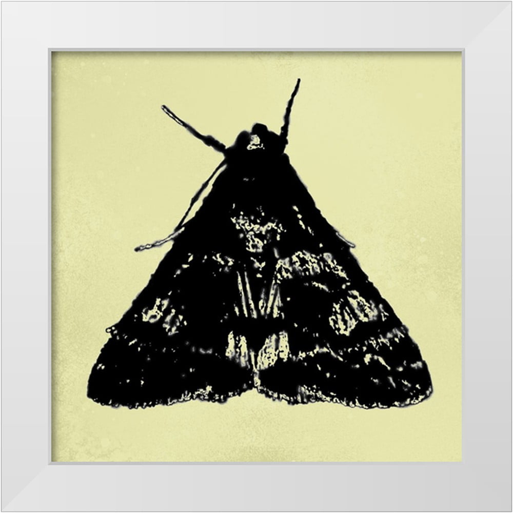 Tenoever, William 20x20 White Modern Wood Framed Museum Art Print ...