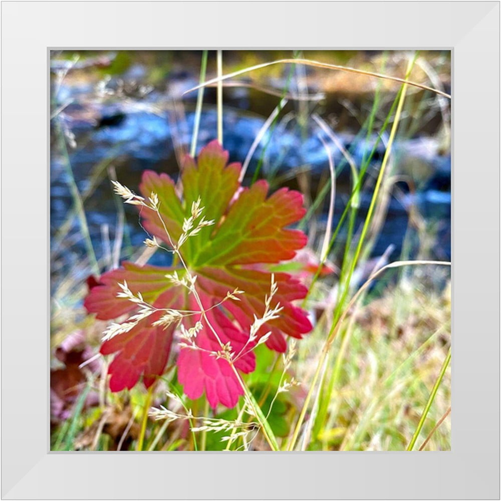 Tenoever, William 20x20 White Modern Wood Framed Museum Art Print ...