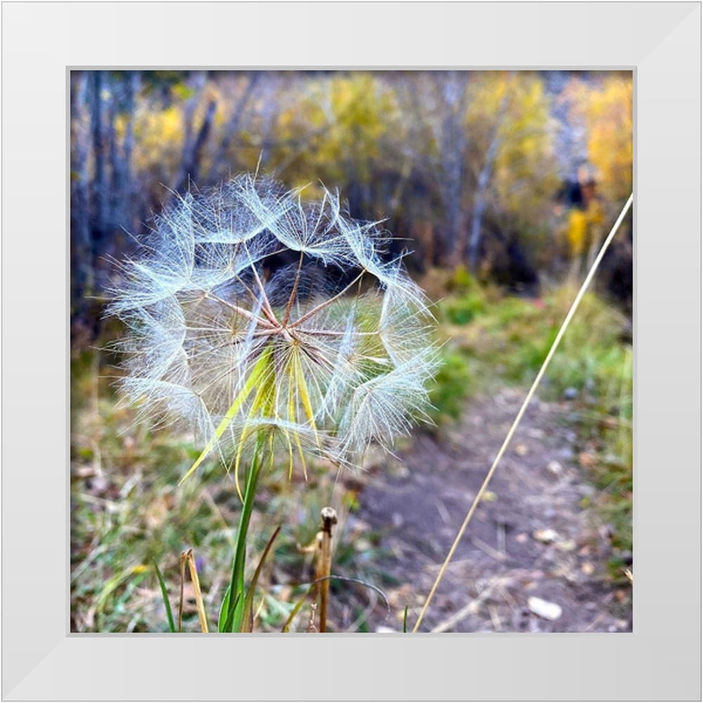 Tenoever, William 20x20 White Modern Wood Framed Museum Art Print ...