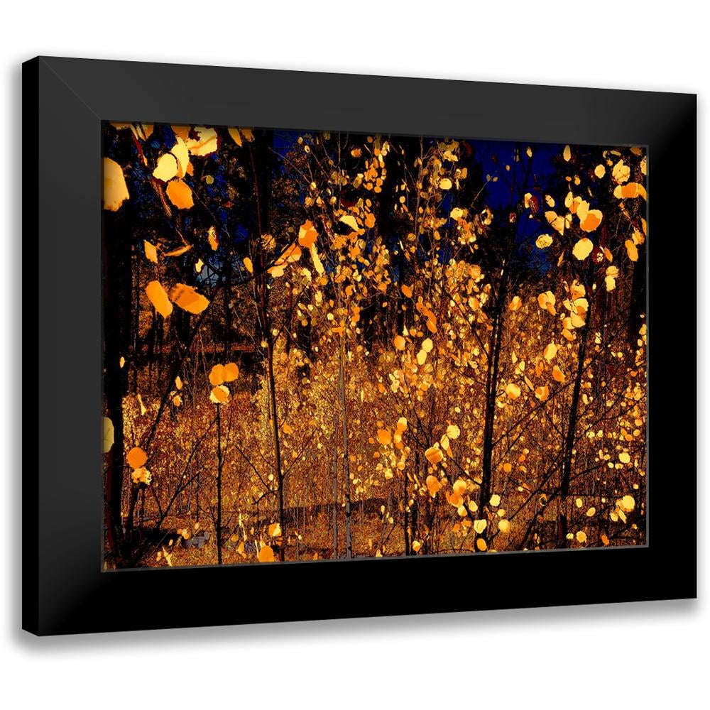 Tenoever, William 24x19 Black Modern Framed Museum Art Print Titled ...