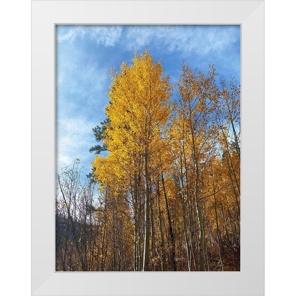 Tenoever, William 25x32 White Modern Wood Framed Museum Art Print ...