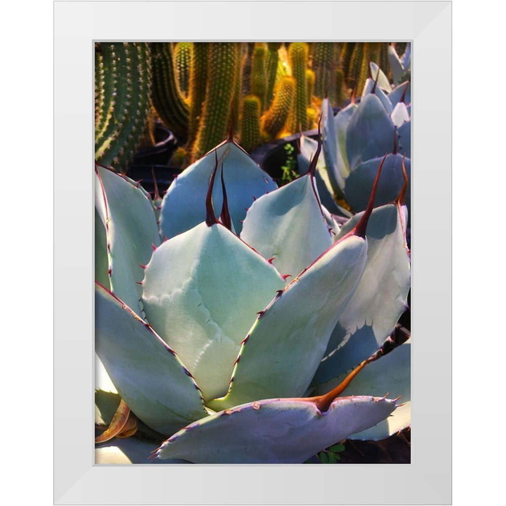 Tenoever, William 25x32 White Modern Wood Framed Museum Art Print ...