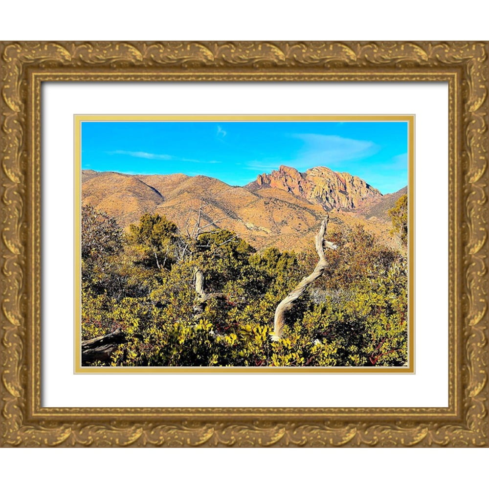 Tenoever, William 32x25 Gold Ornate Wood Framed with Double Matting ...