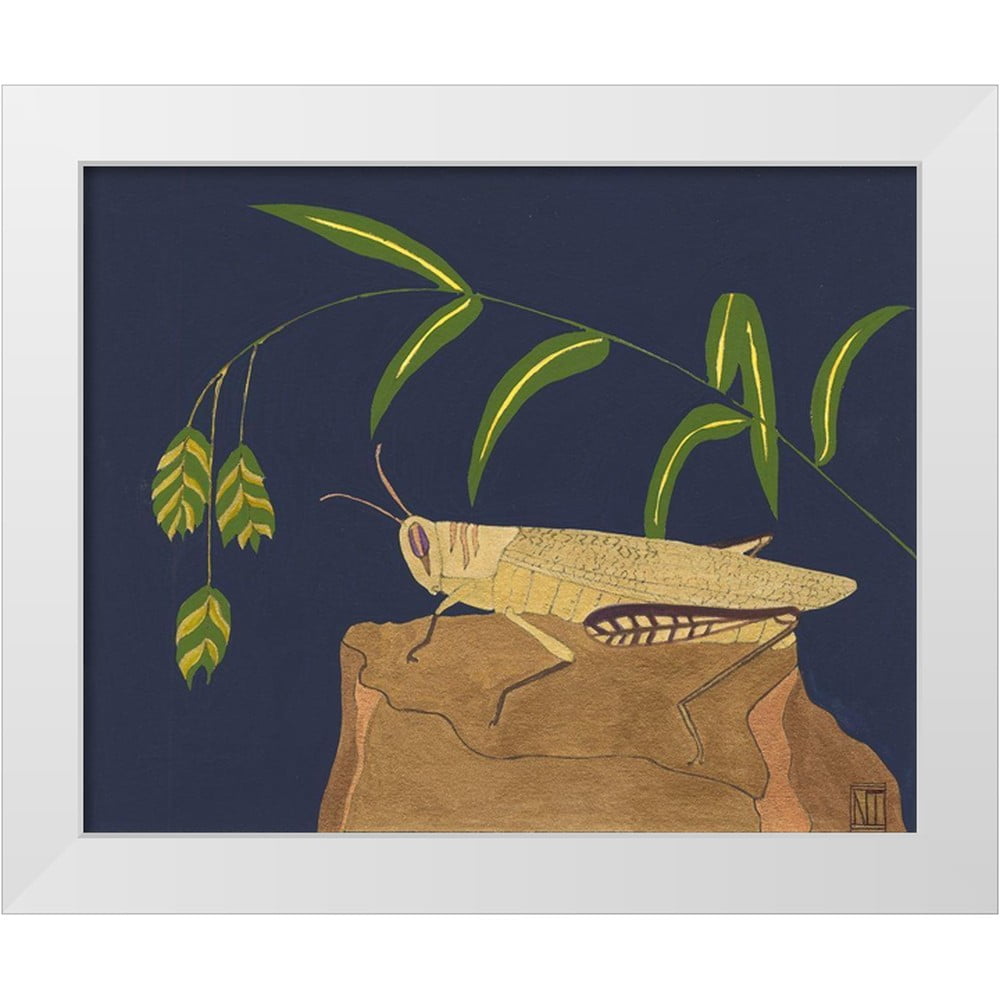 Tenser, Nina 14x12 White Modern Wood Framed Museum Art Print Titled - Ornamental Grasshopper II ...