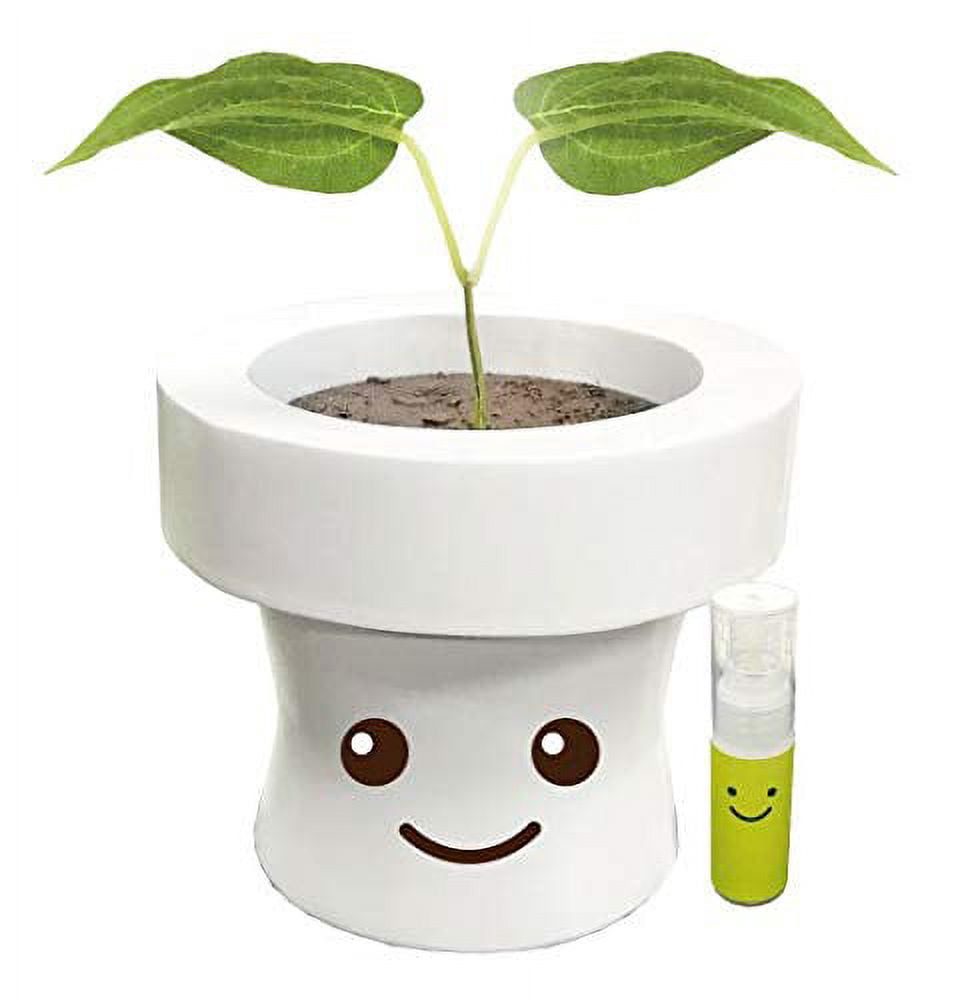Tenyo Talking flower pot (white) - Walmart.com