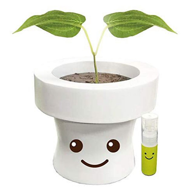 Tenyo Talking flower pot (white) - Walmart.com