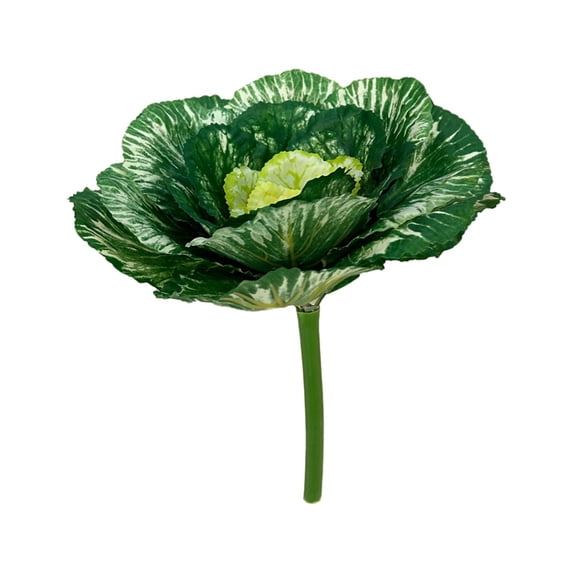 Tepsmf Artificial Vegetables Realistic Food Props, Decorative Cabbage ...