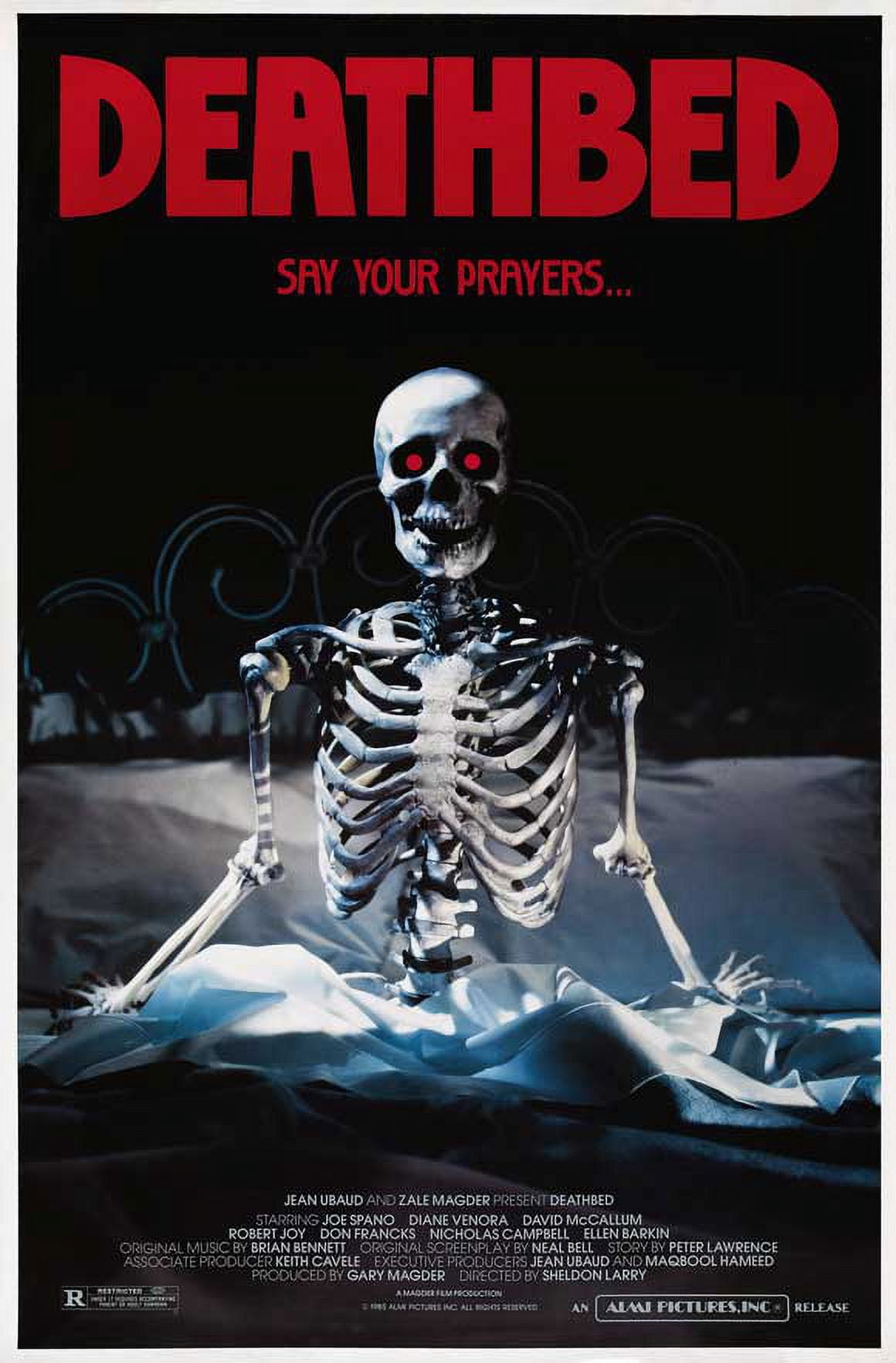 Terminal Choice - movie POSTER (Style A) (11" x 17") (1985) - Walmart.com