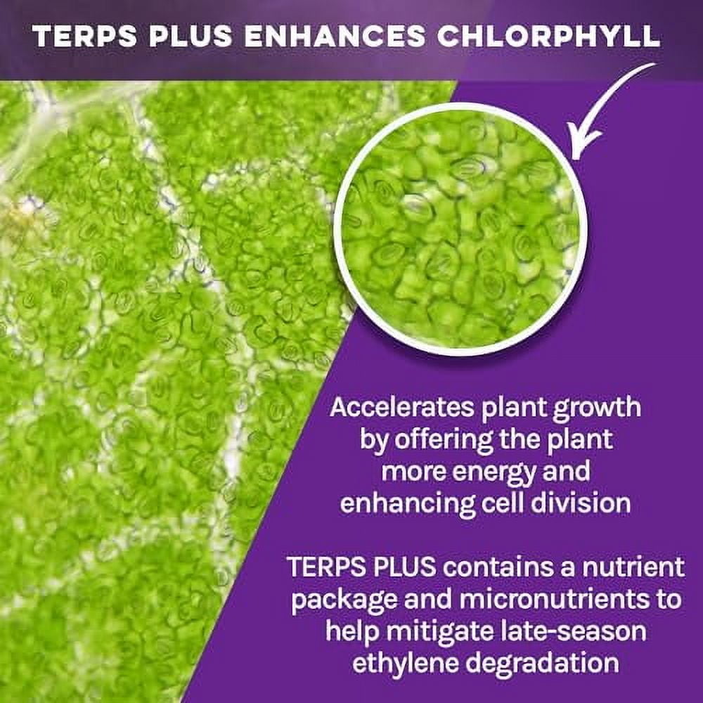 Terps Plus Fertilizer Enhancer for Hydroponics, Soil, Gardens, and ...