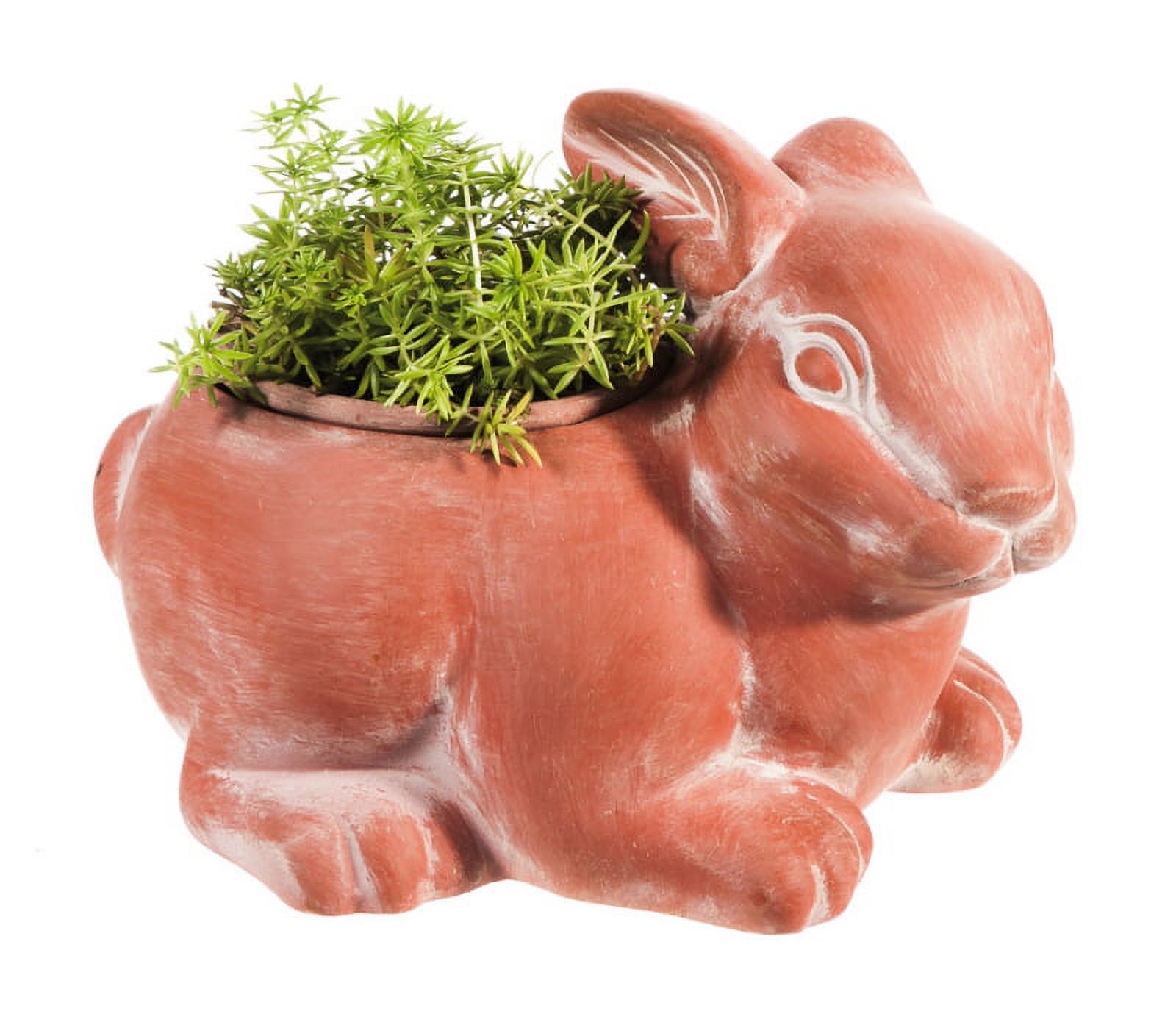 Terra Cotta Planter, Rabbit - Walmart.com