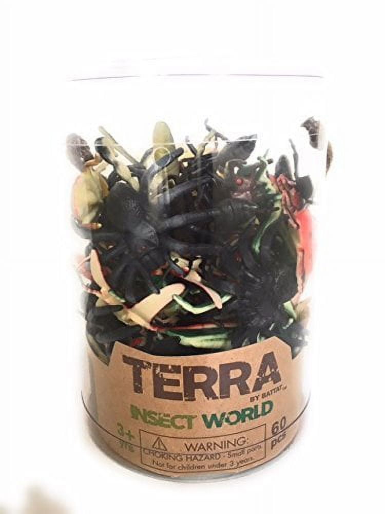 Terra - Insect World: Kids Underground Bug Terrarium Life Cycle, Ant ...