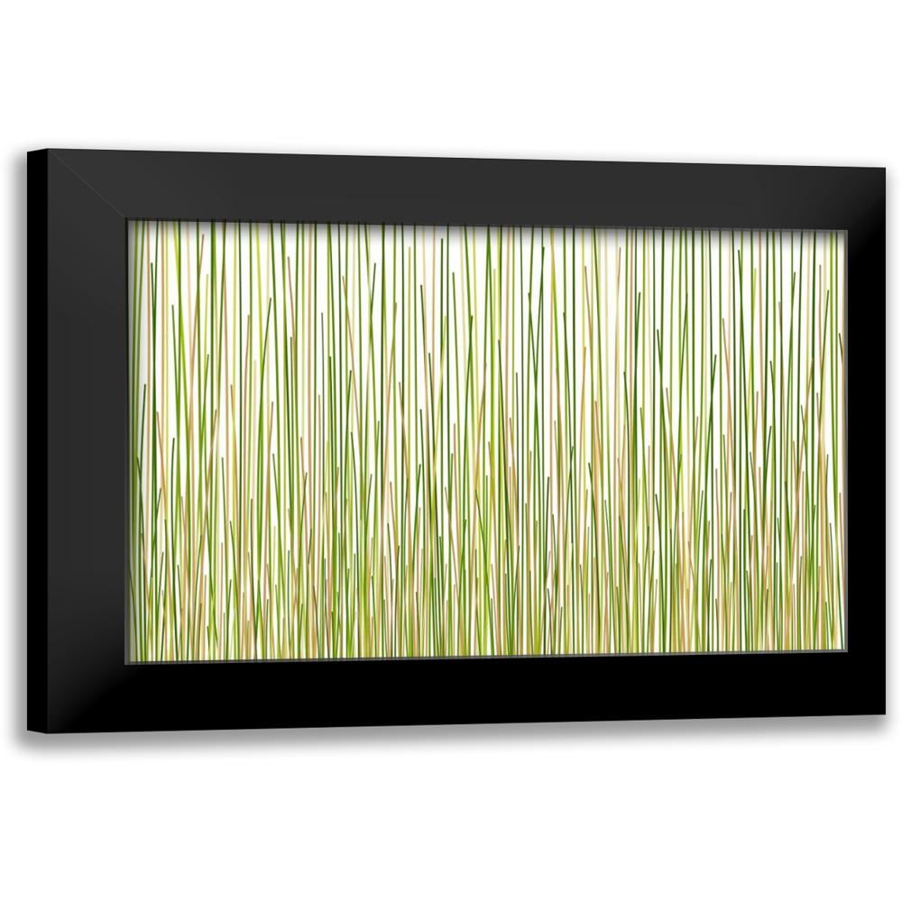 Terra Jungle 14x11 Black Modern Framed Museum Art Print Titled - Grass ...