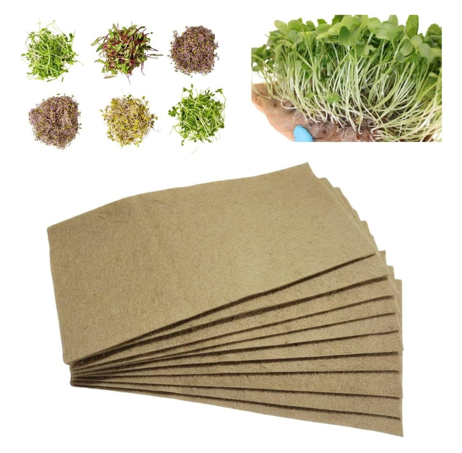 Terra Large Seed Format Mats – Compostable Indoor Grow Media, Ideal for ...