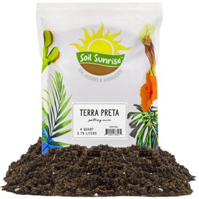 Biochar