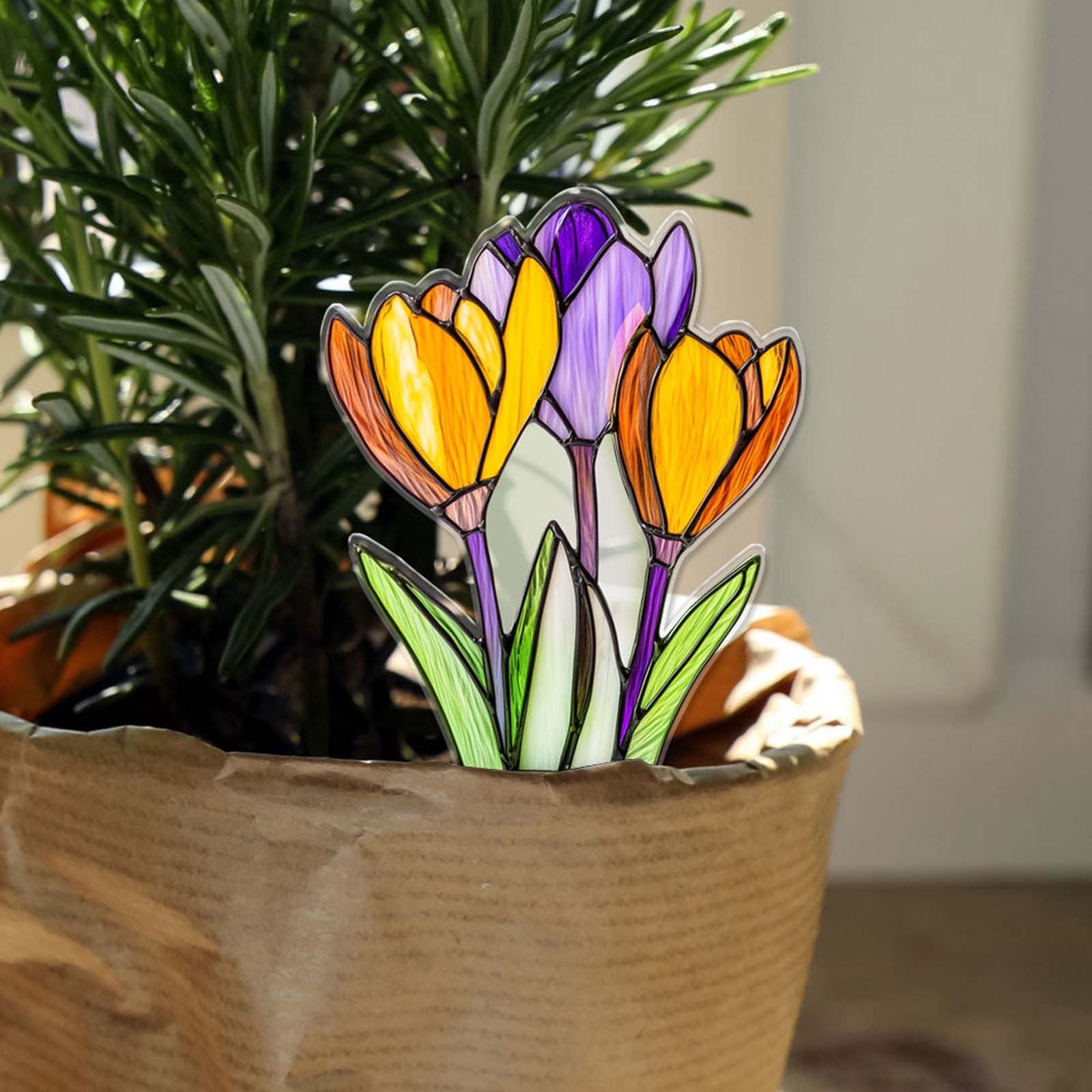 TerraHaven Acrylic Planter Decor Insert, Transparent Lightweight Eco-Friendly, Colorful Shapes ...