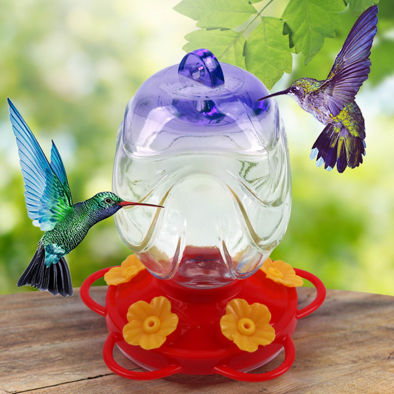 TerraHaven Hand Blown Stained Glass Hummingbird Feeder - Multifunctional Durable Design with Ant ...