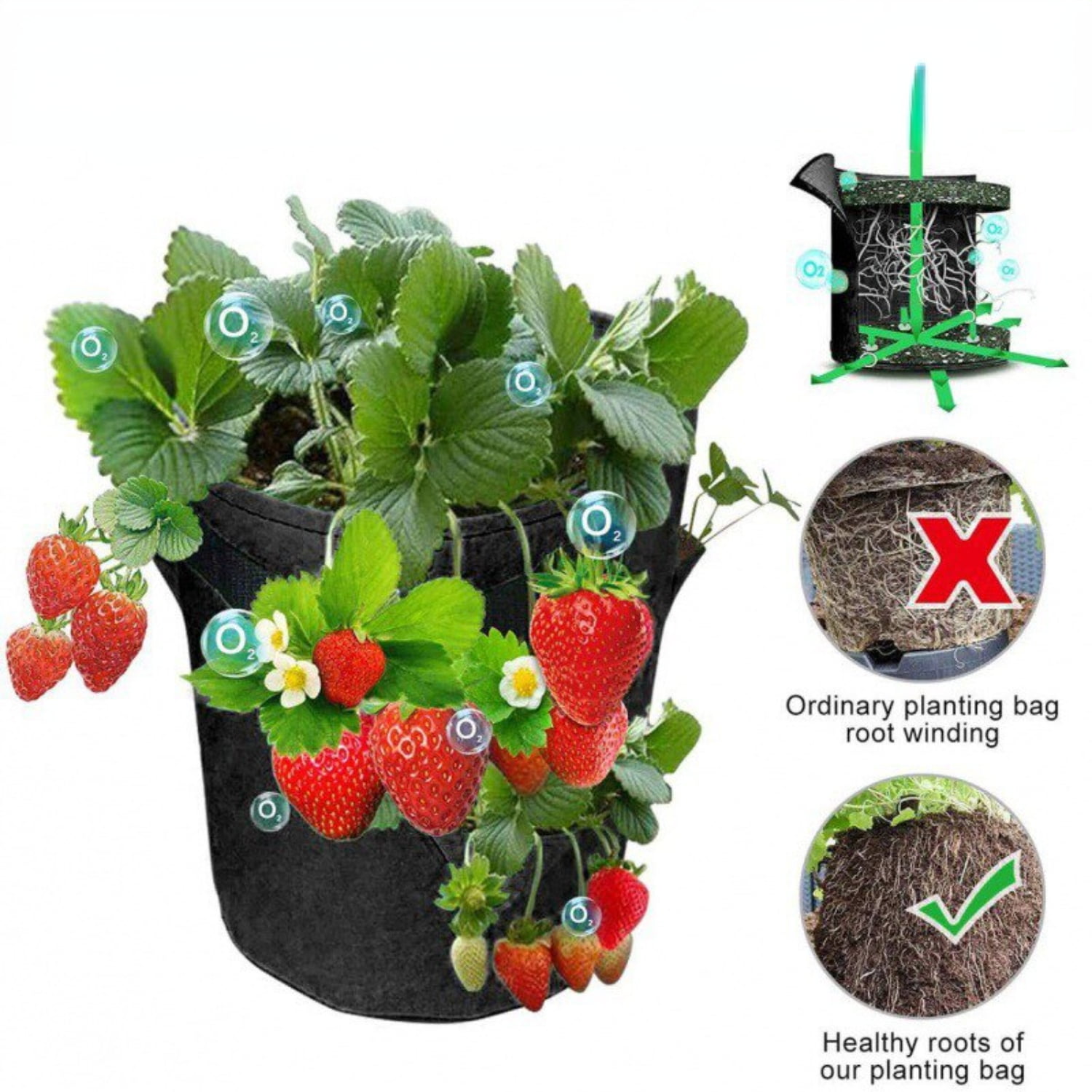 Terrace Spring Big Multi-mouth Garden Strawberry Planting Bag 5/7/10Gal ...