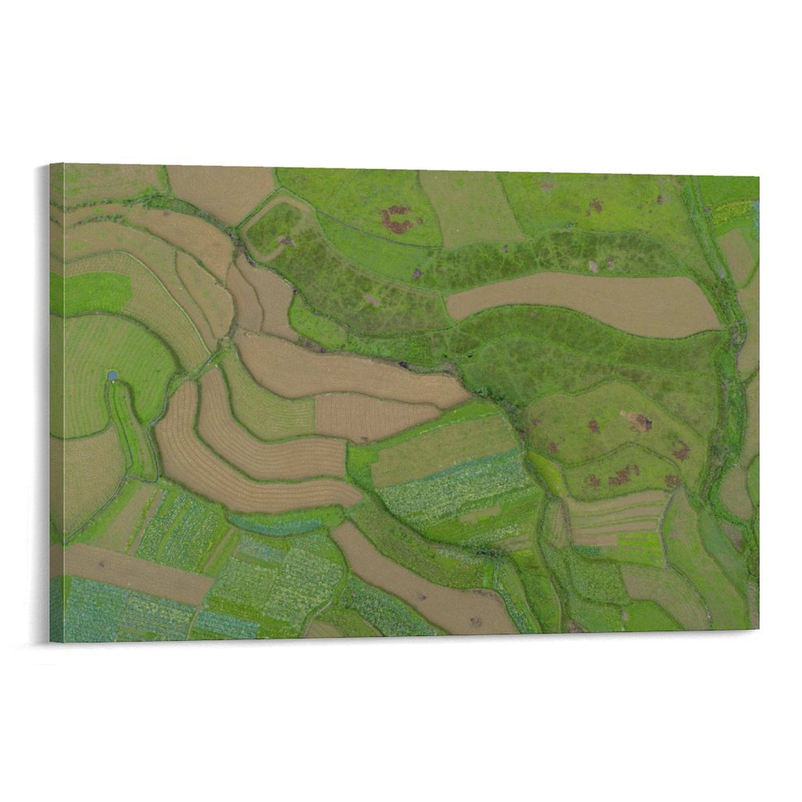 Terracing Poster Posters Wall Art Painting Canvas Gift Living Room ...