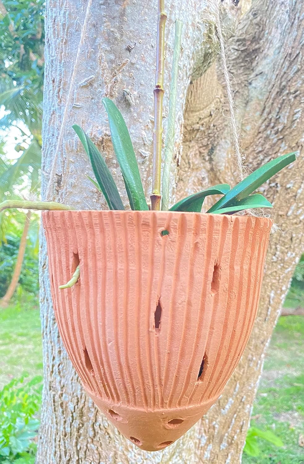 Terracotta Hanging Planter for Plants, Orchid Pot, Orchid Planter ...