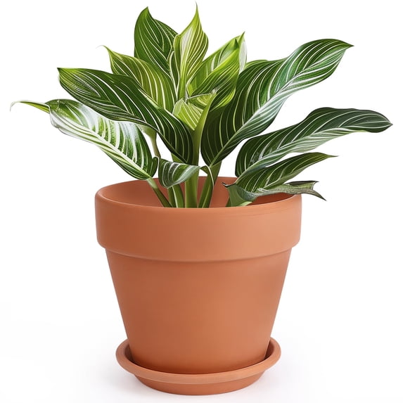 Terracotta Plant Pot with Saucer 10 Inch Ceramic Clay Planter with ...