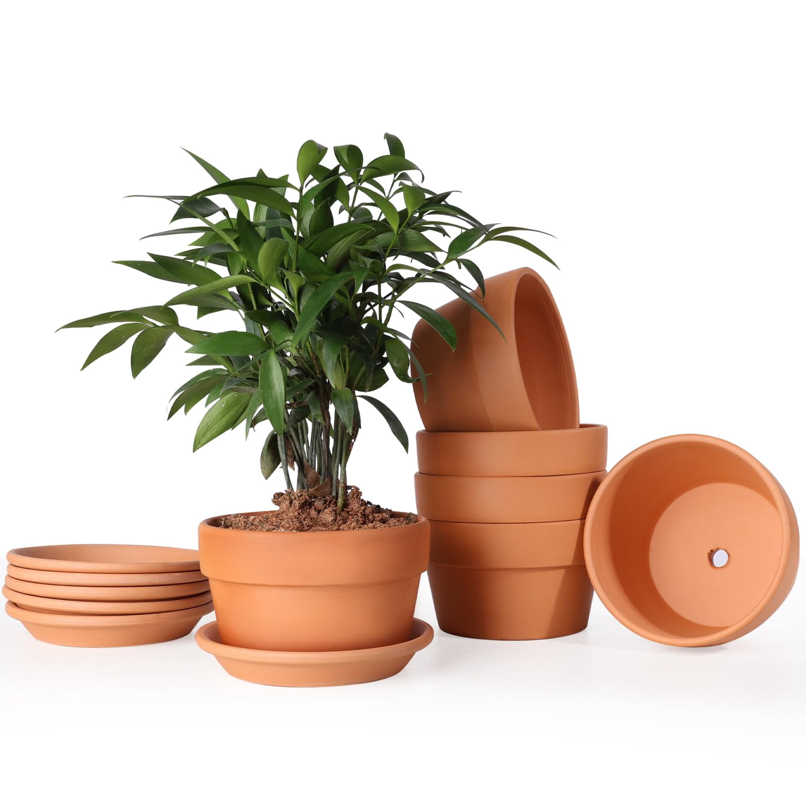 Terracotta Plant Pot with Saucer 10 Inch Ceramic Clay Planter with ...