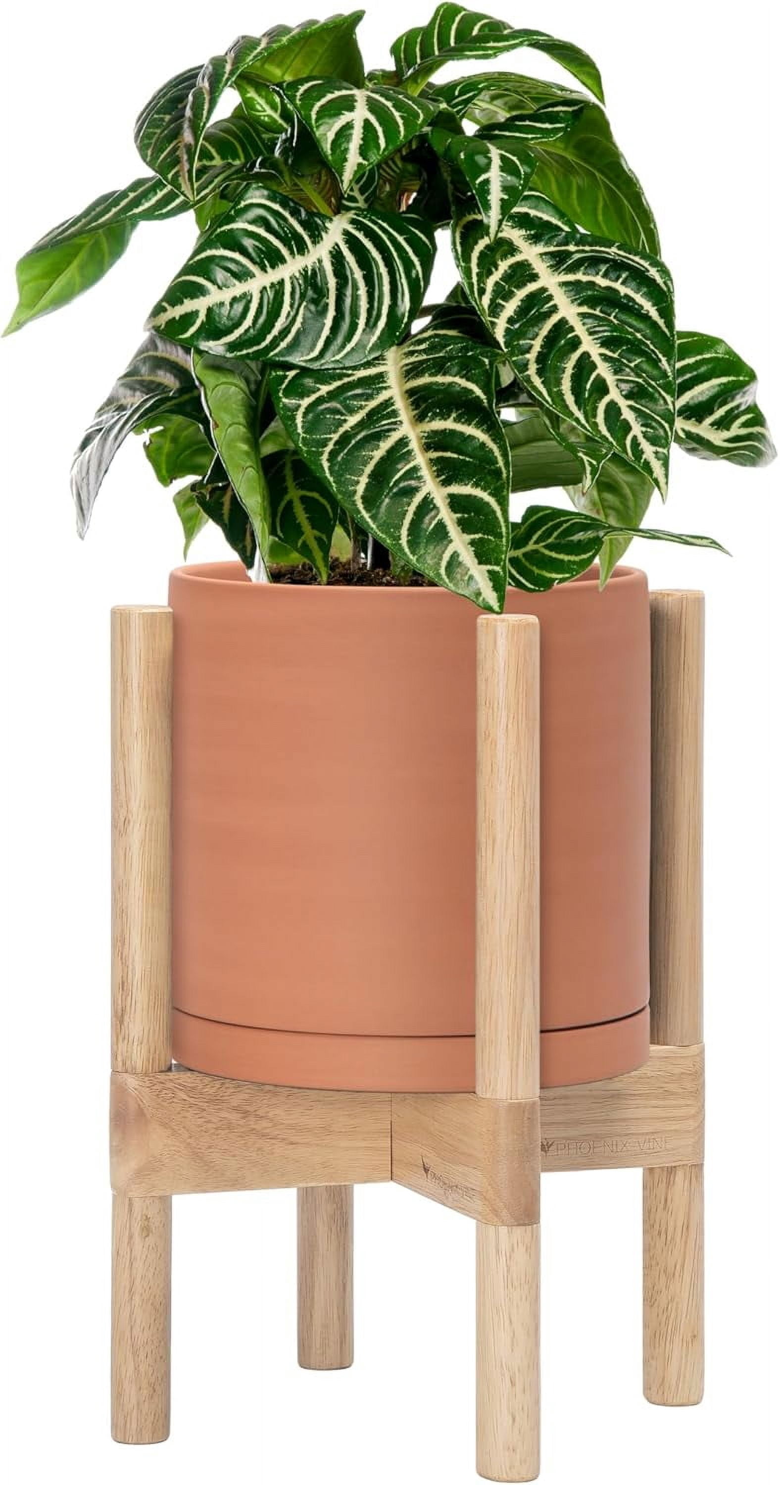 Terracotta Planter with Natural Stand - 8 Inch Modern Round Flower Pot ...