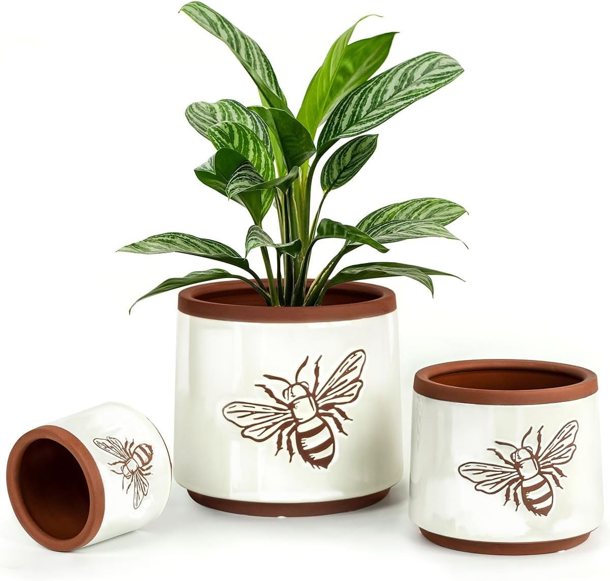 Terracotta Pots Inch with Drainage Holes, Bee Decor, Ceramic Pots for ...