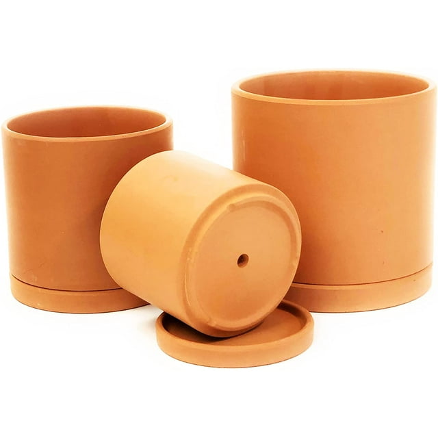 Terracotta Pots for Plants, 4 Inch 5 in 6 Inch, Succulent Planter ...
