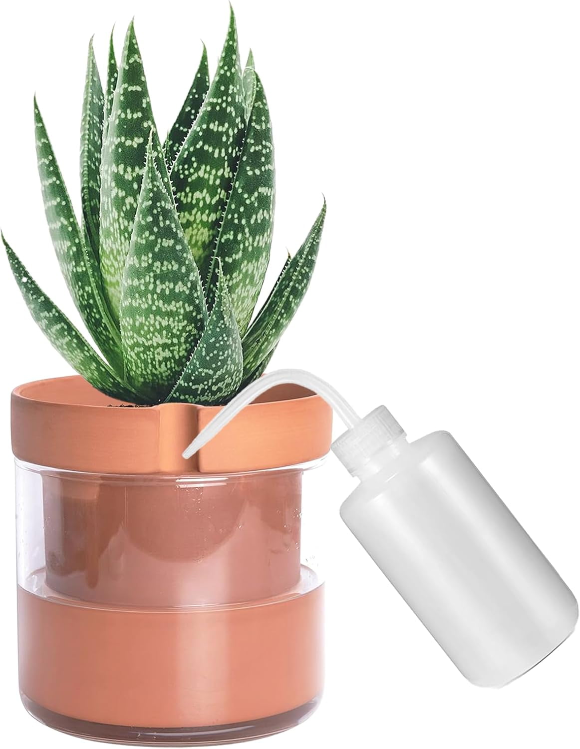 Terracotta Self Watering Planter Pots, 6 inch Clay Pots with Glass ...