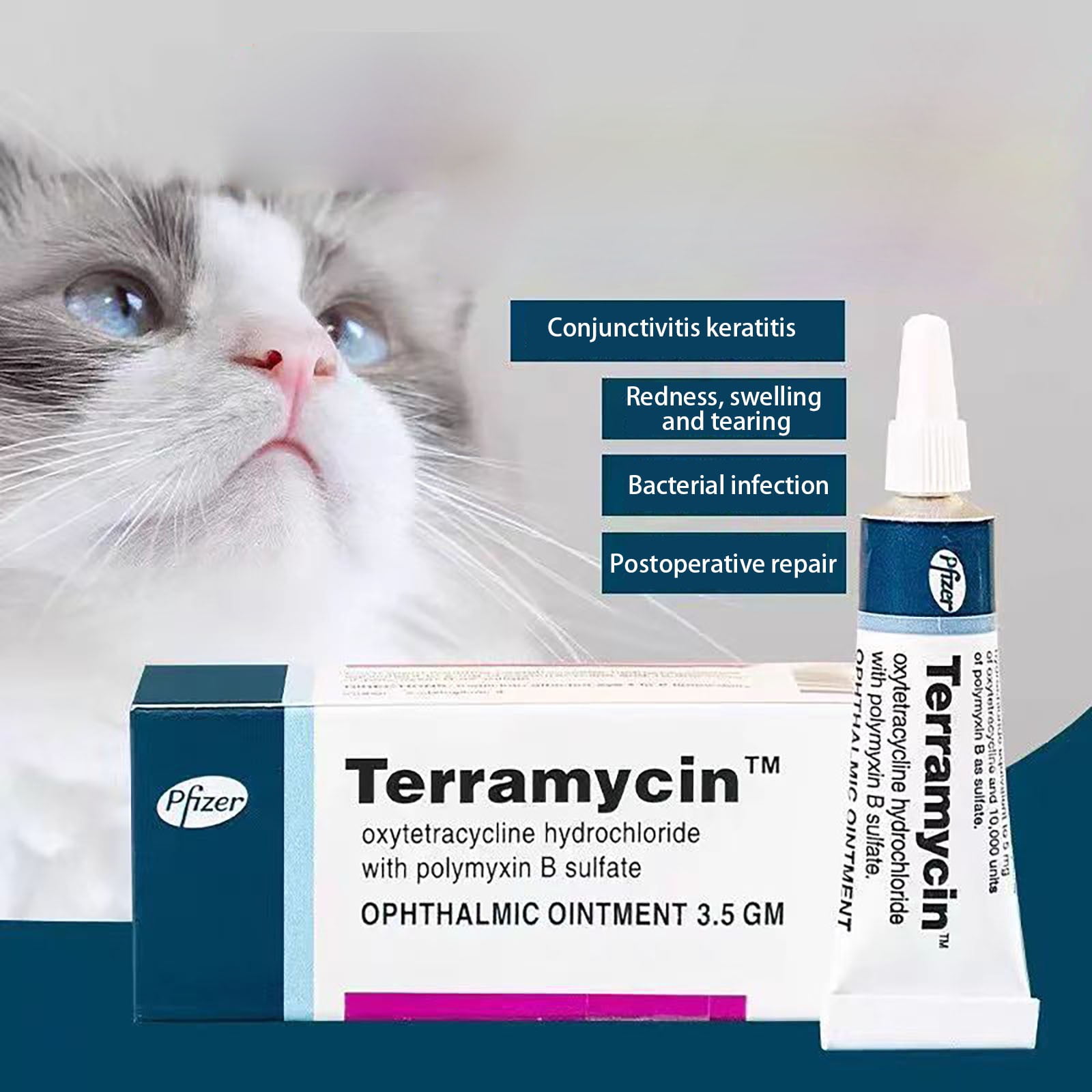 Terram-ycin Eye Ointment for Cats, Dogs & Horses | Antibiotic Eye ...