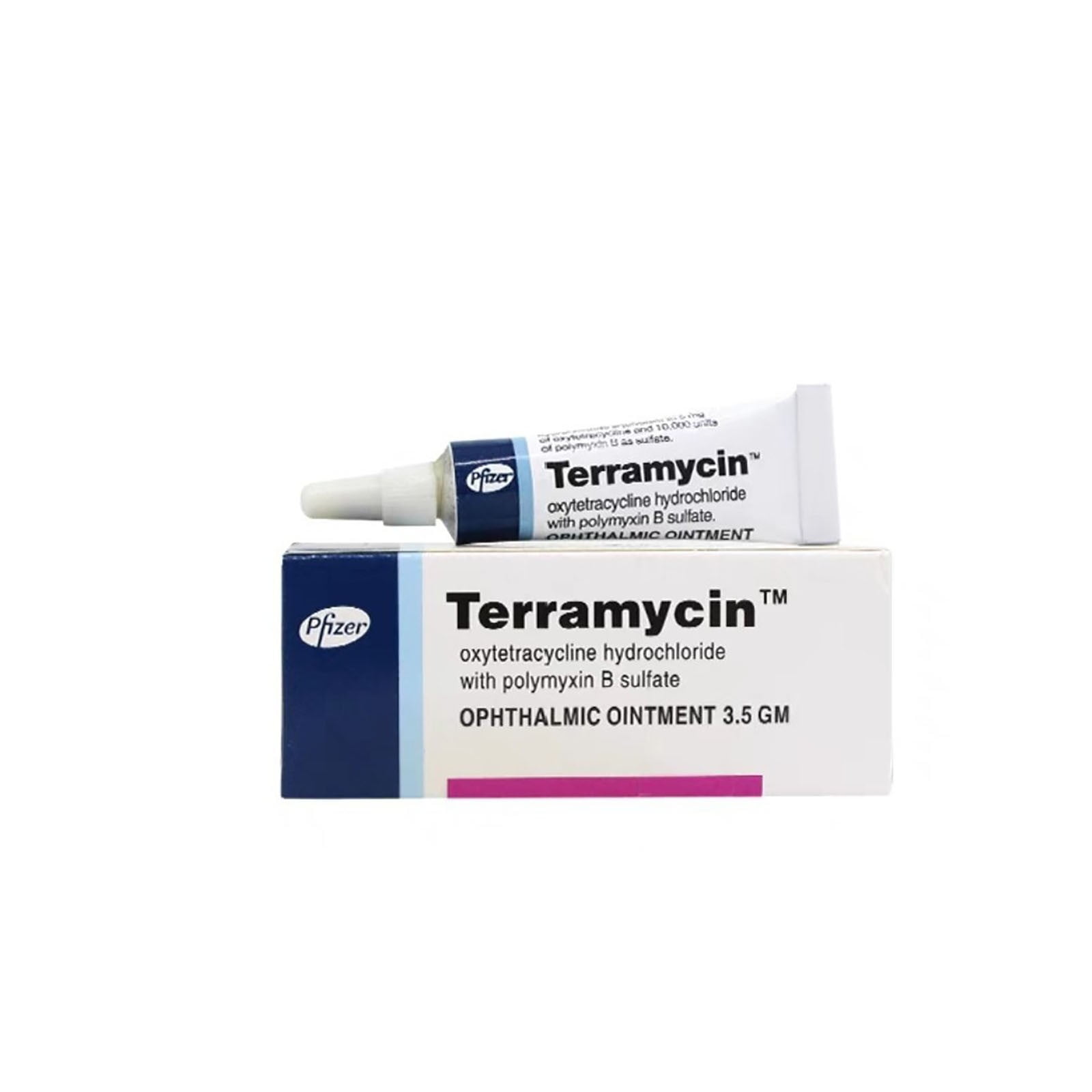 Terram-ycin Eye Ointment for Cats, Dogs & Horses | Antibiotic Eye ...