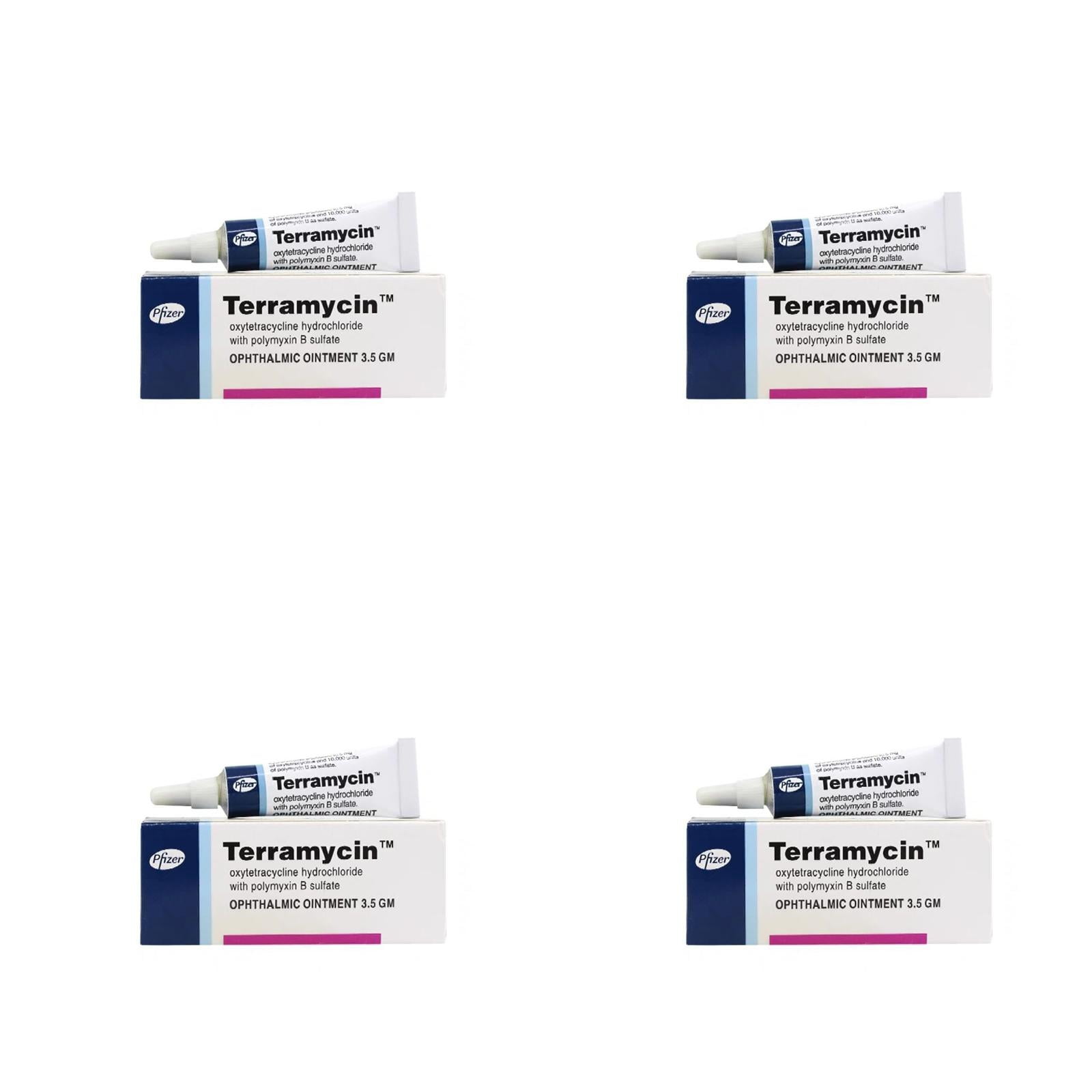 Terram-ycin eye ointment for cats,4 Packs dogs & horses Antibiotic ...