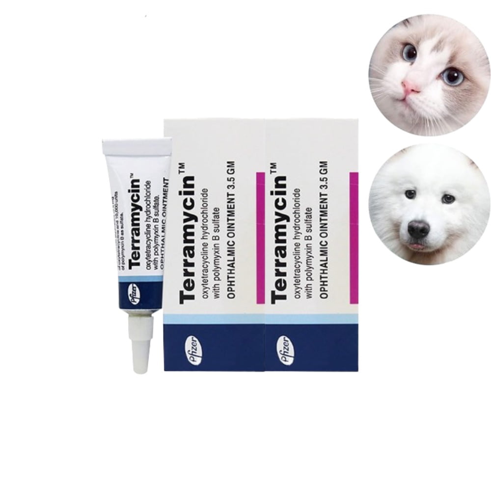 Terramycin Eye Ointment for Cats, Dogs & Horses: Antibiotic Treatment ...