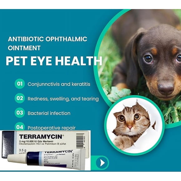 Terramycin Eye Ointment Cat