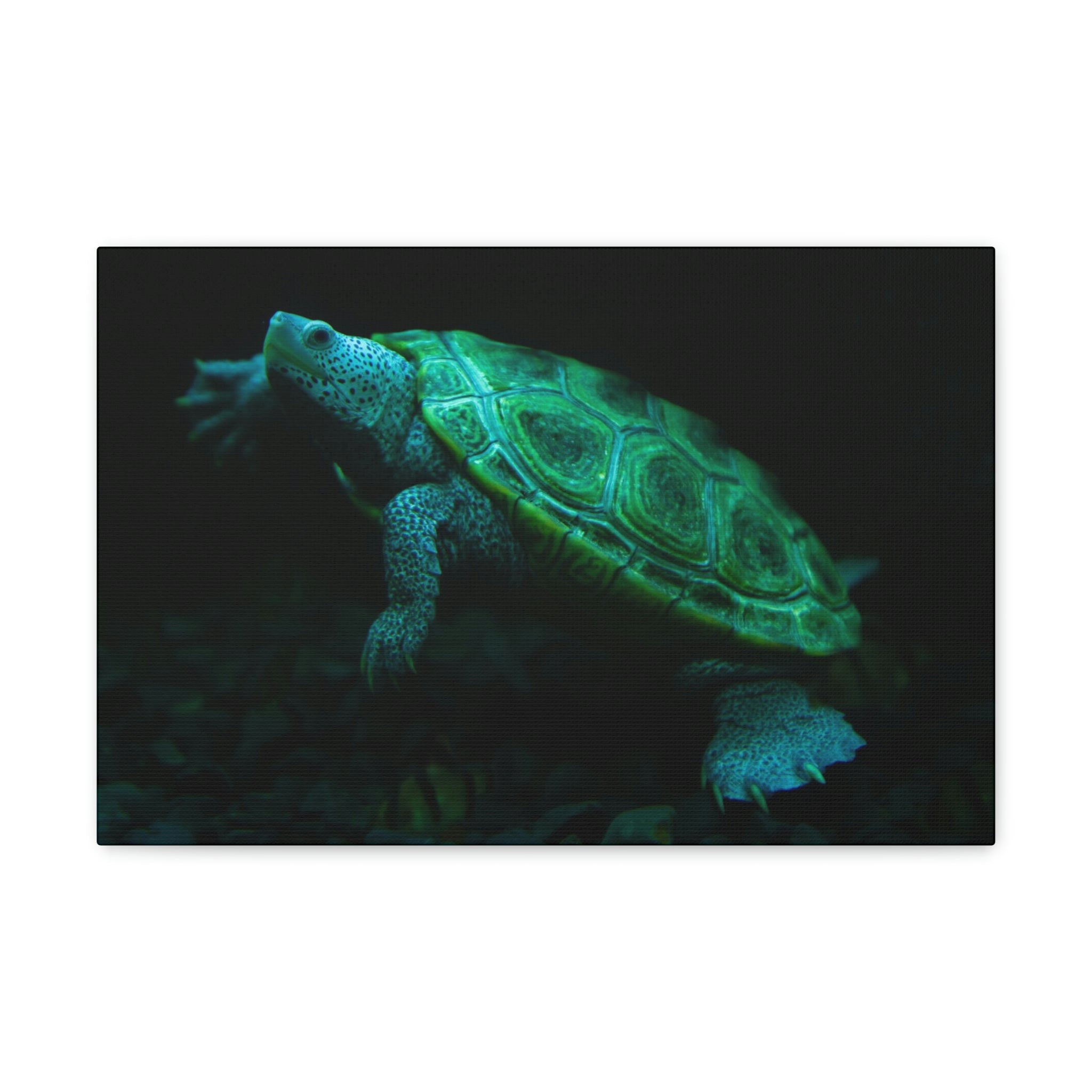 Terrapin Hunting Terrapin on Hunt Print Animal Wall Art Wildlife Canvas ...