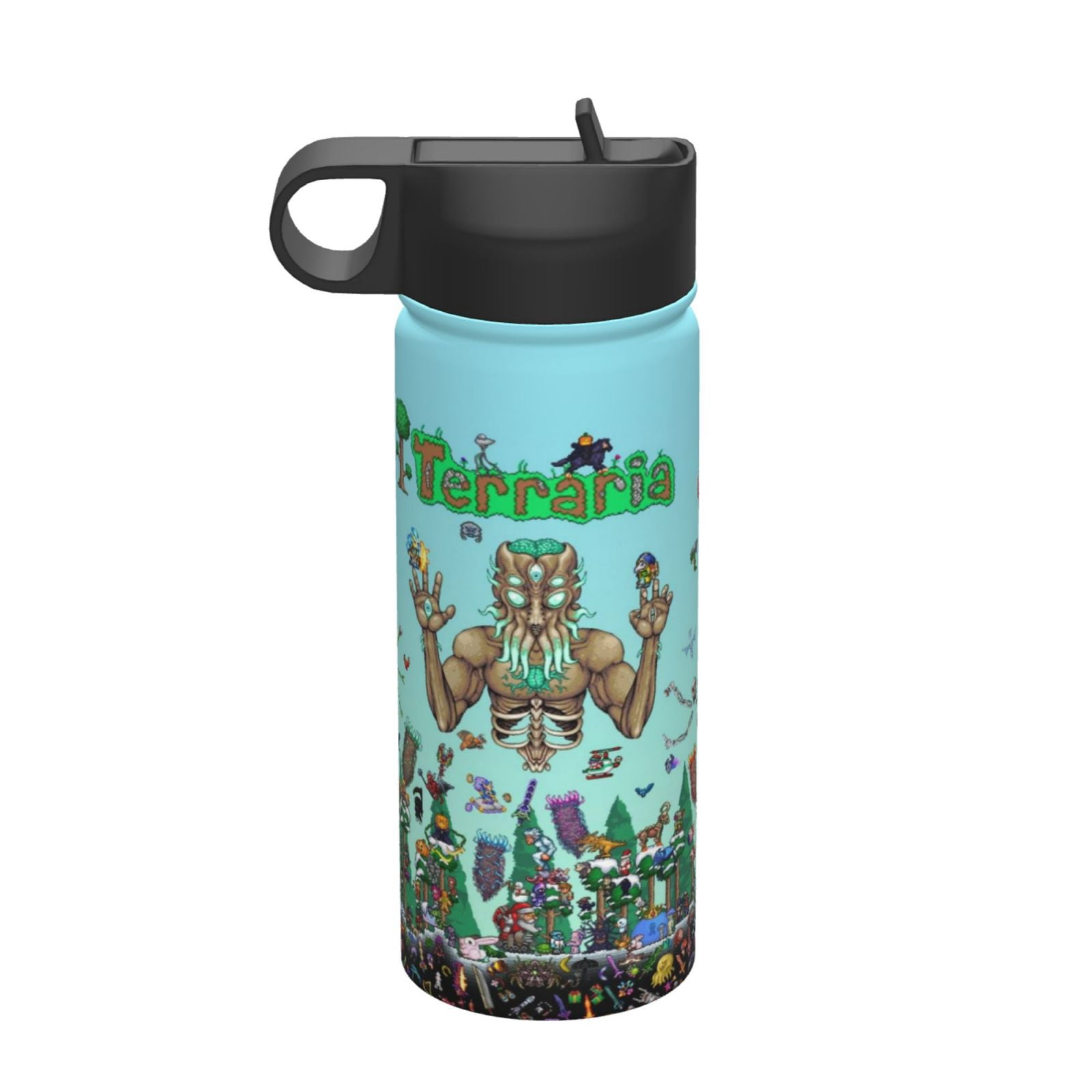 Terraria Insulated Stainless Steel Wide Mouth Water Bottle with Flex ...