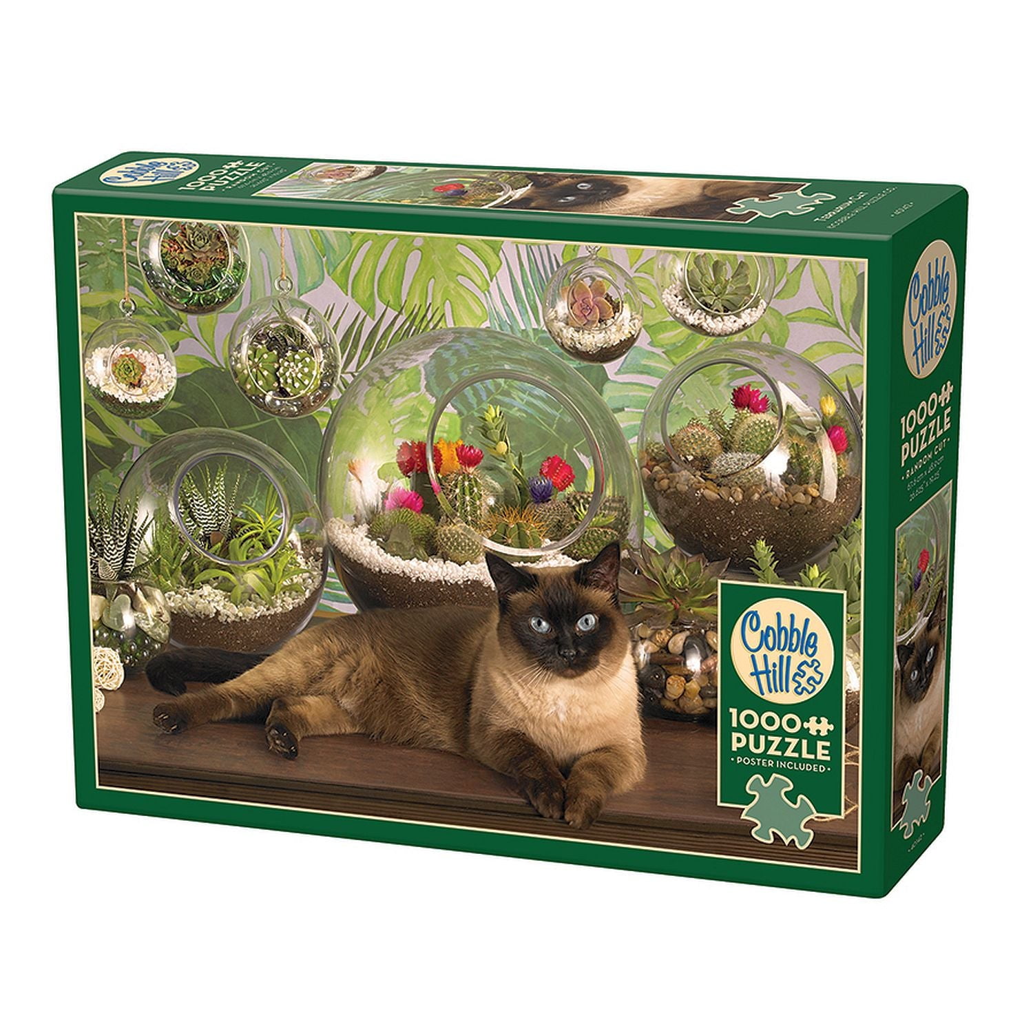 Terrarium Cat - Walmart.com