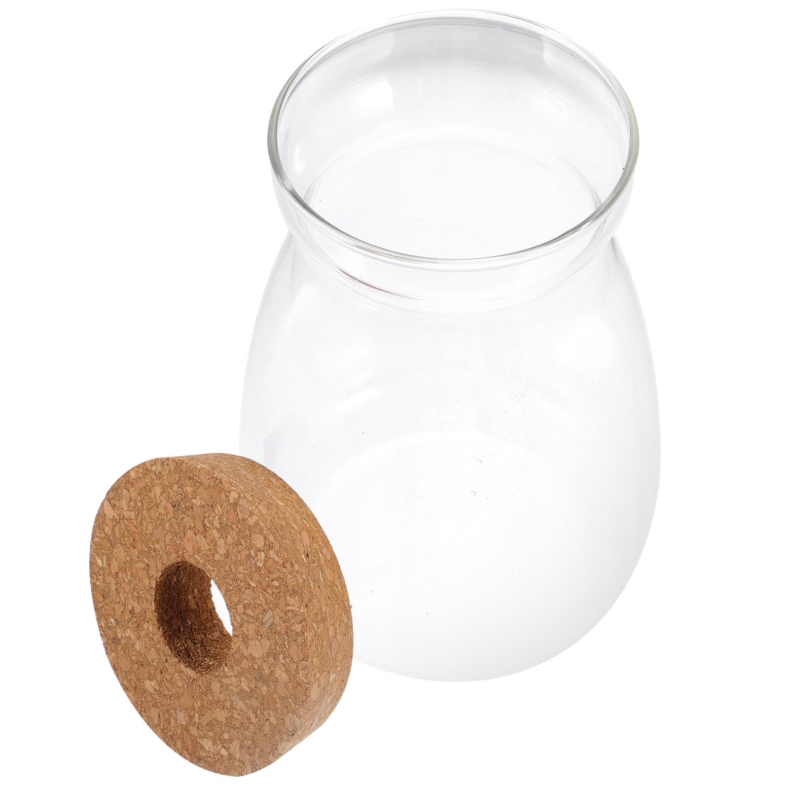 Terrarium Jar Glass Terrarium Hydroponic Plant Container Ecosystem ...